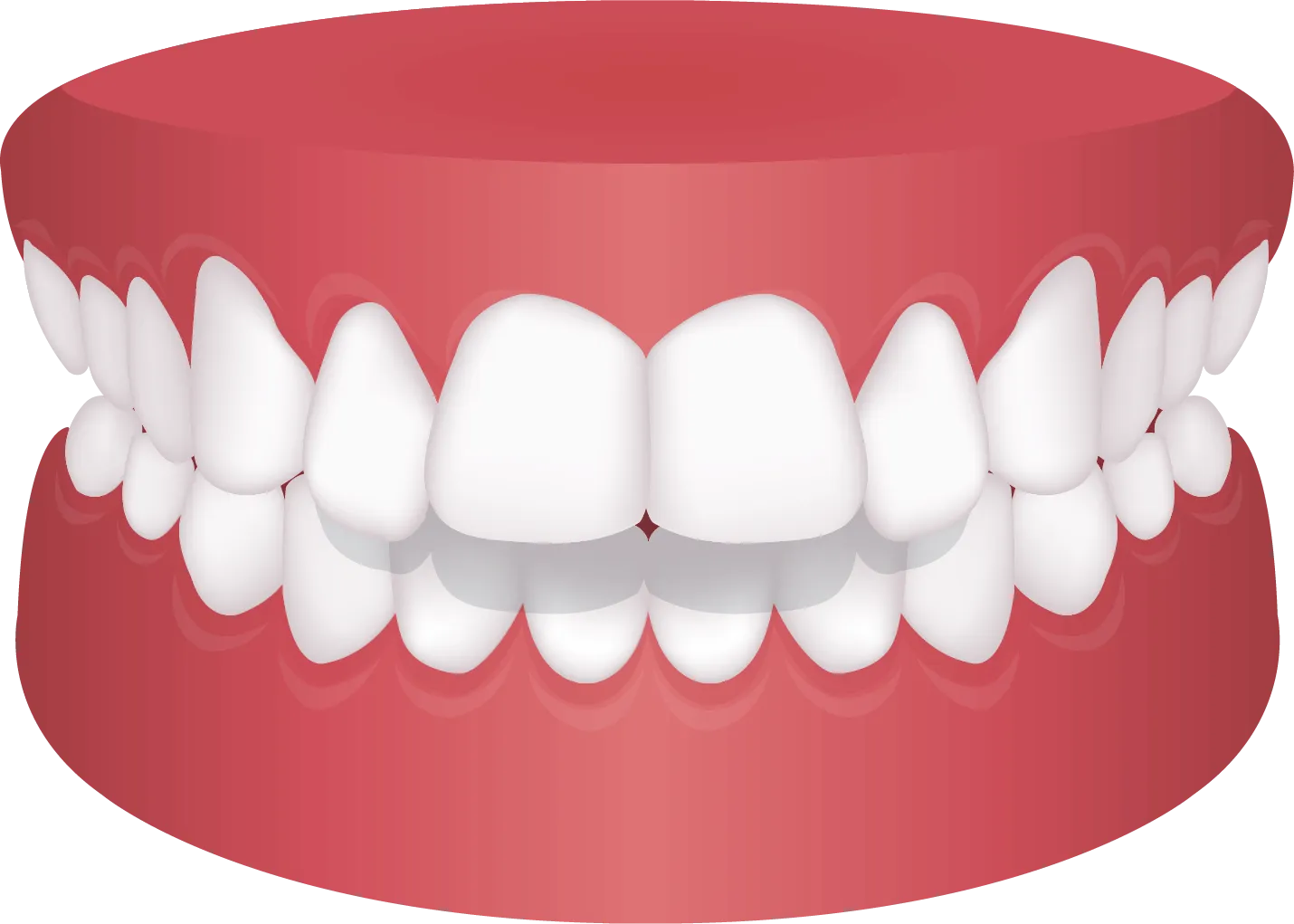 Dunedin Orthodontics | Specialist Orthodonist | Otago NZ
