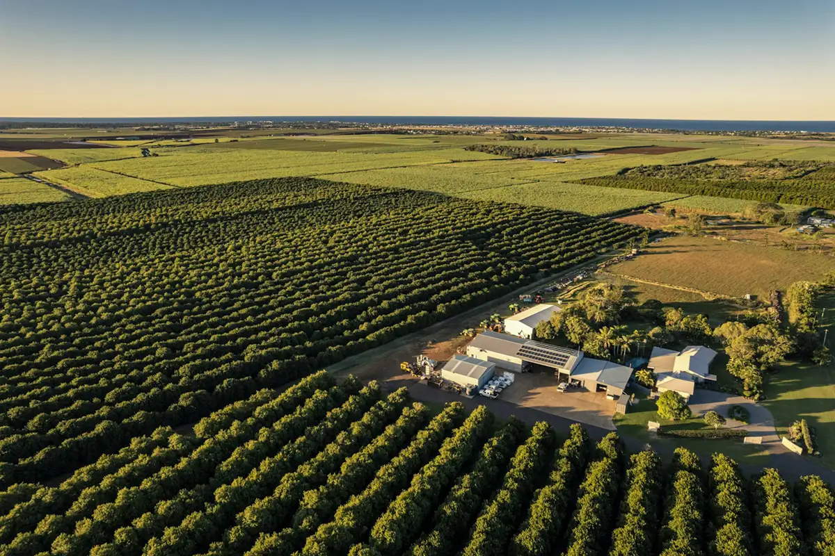 Sustainable Macadamia Farm | Australian Premium Macadamias