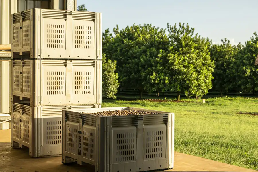 Best Quality Macadamia Nuts | Australian Premium Macadamias