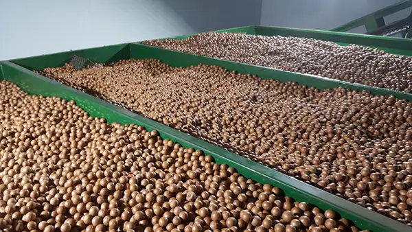 The Best Macadamias Australia Offers | Australian Premium Macadamias