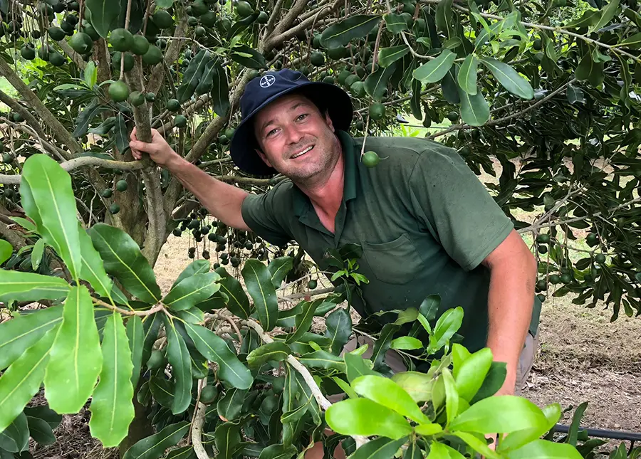 Premium Macadamia Growers | Australian Premium Macadamias