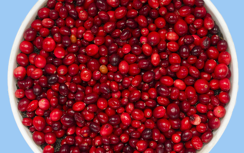 Kit urinaire - Sytème Kits | Herbes Pures Produits Naturels