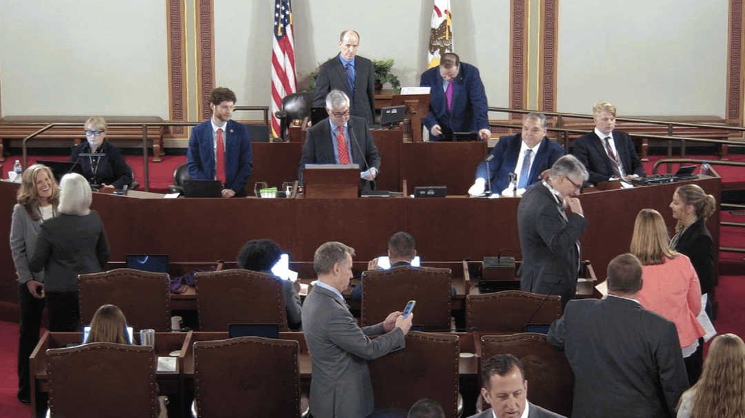 Illinois Senate Floor On Demand