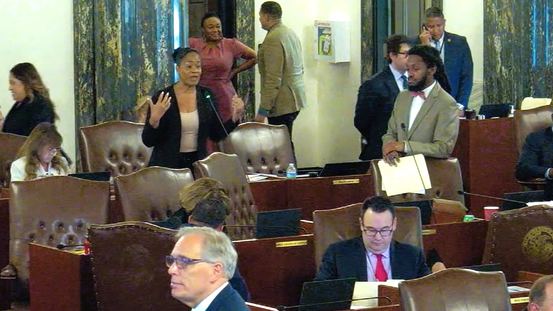 Illinois Senate Floor On Demand