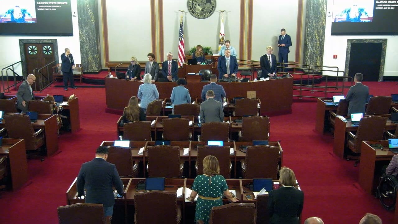 Illinois Senate Floor On Demand
