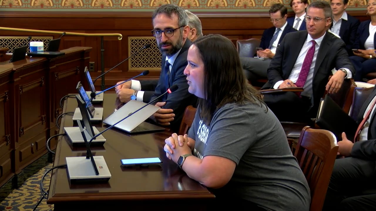 Illinois House Committees On Demand