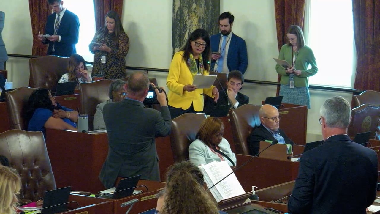 Illinois Senate Floor On Demand