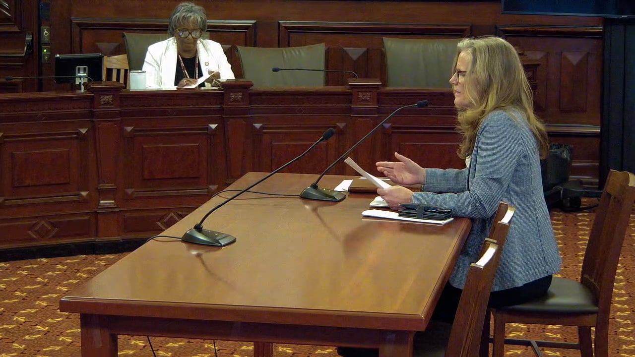 Illinois Senate Committees On Demand