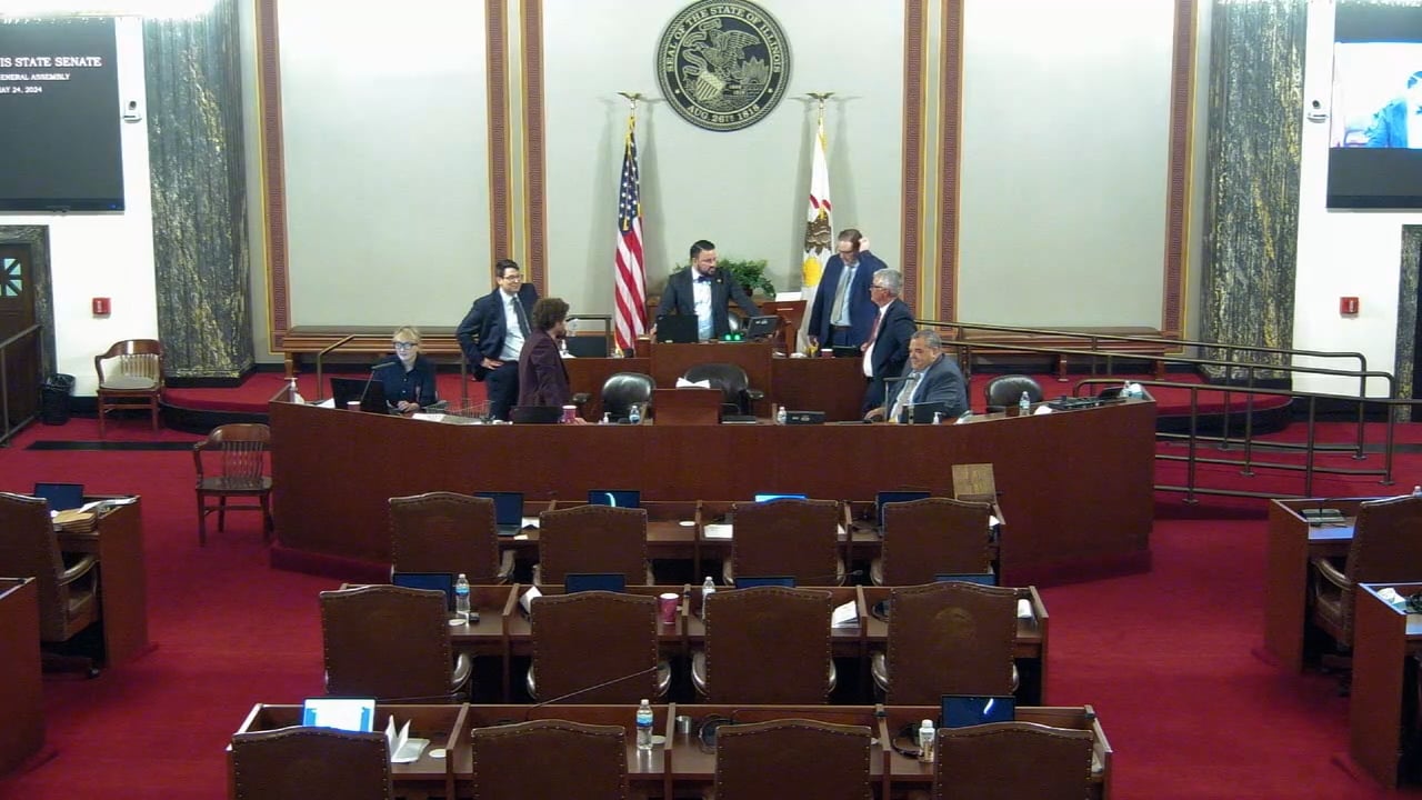 Illinois Senate Floor On Demand