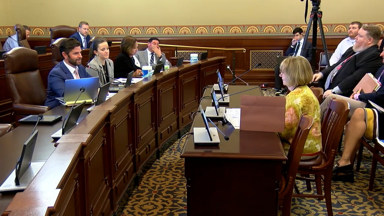 Illinois House Committees On Demand