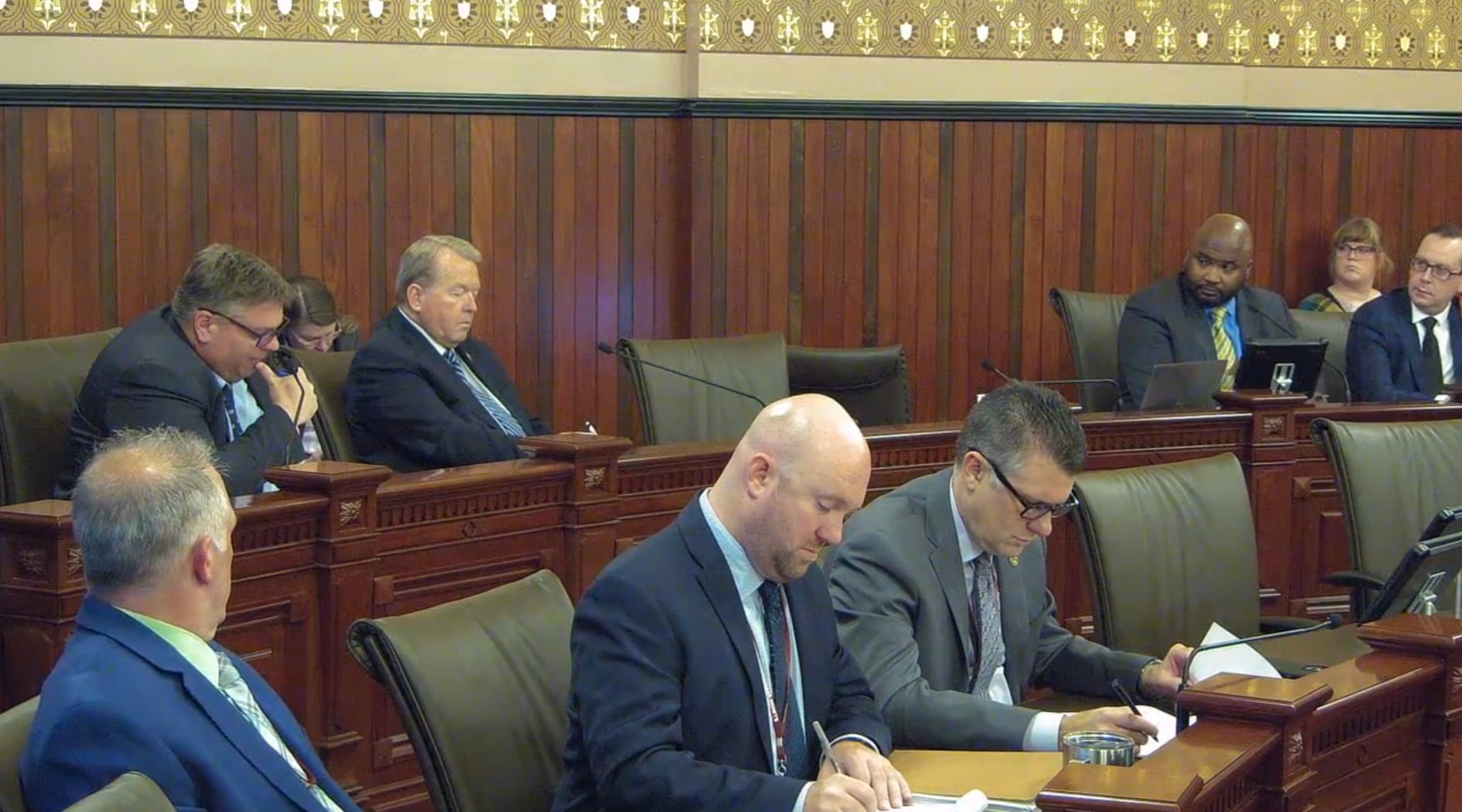 Illinois Senate Committees On Demand