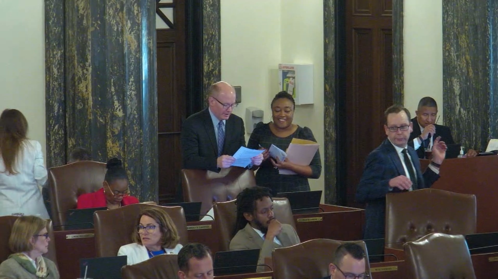 Illinois Senate Floor On Demand
