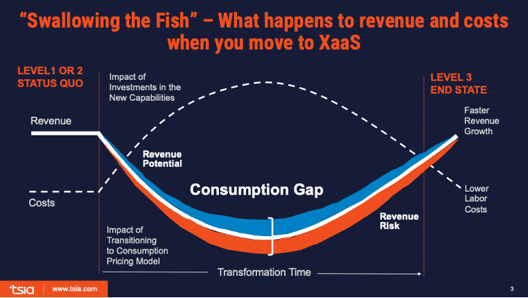 Manage the Consumption Gap to Drive Customer Growth | TSIA
