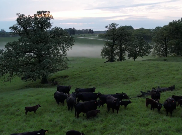 Incite.ag | Carbon Intensity Scoring Made Simple