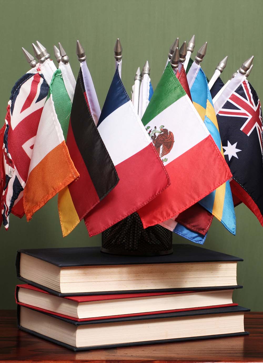 International Exchange Programs