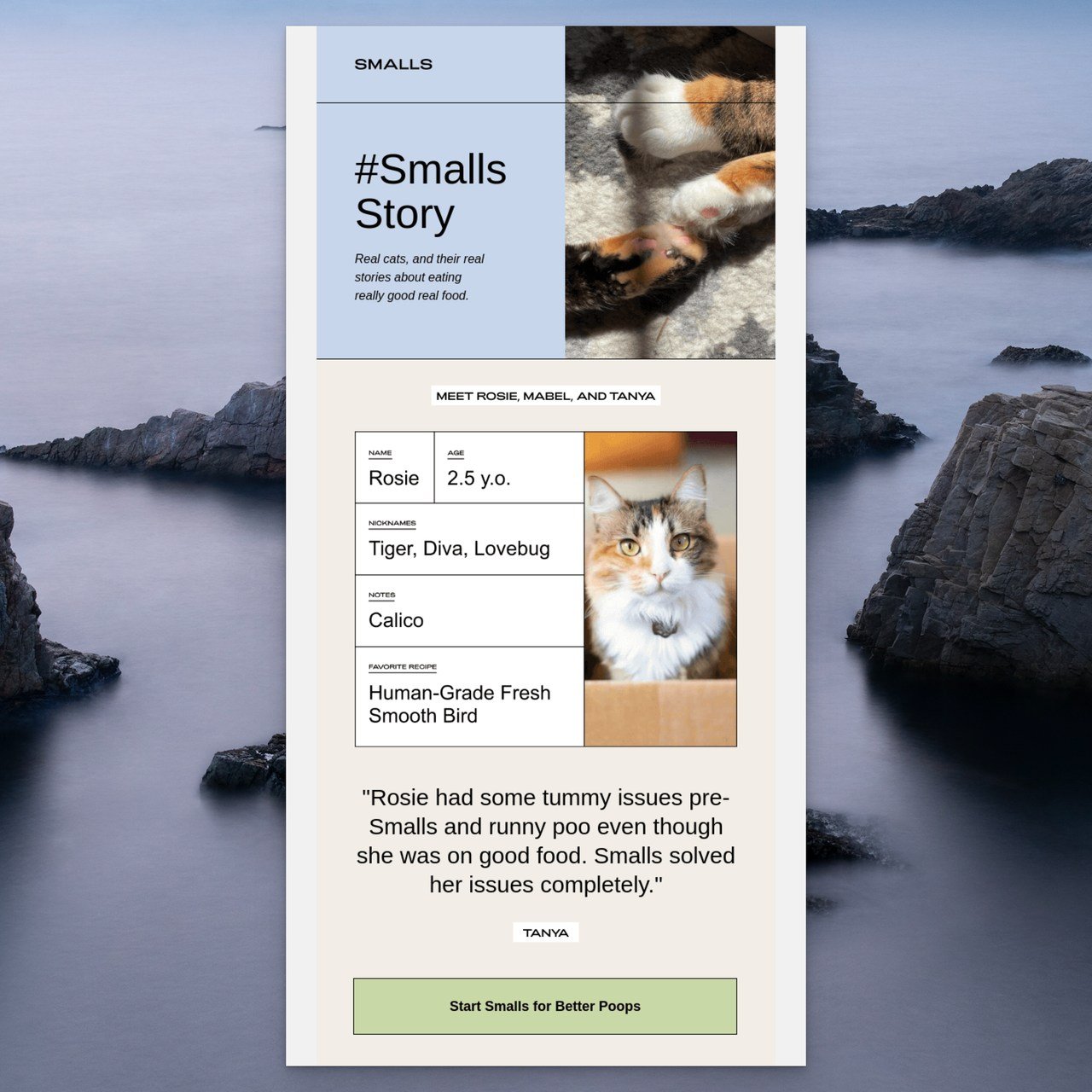From Meh to Wow: 50 Standout Testimonial Email Subject Lines