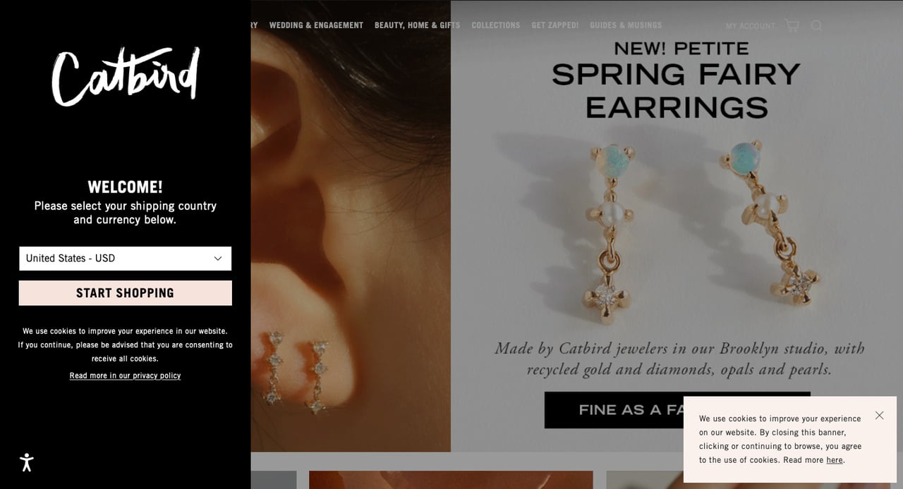 How to Create a Shopify Cookie Popup, Ideas and 10 Examples