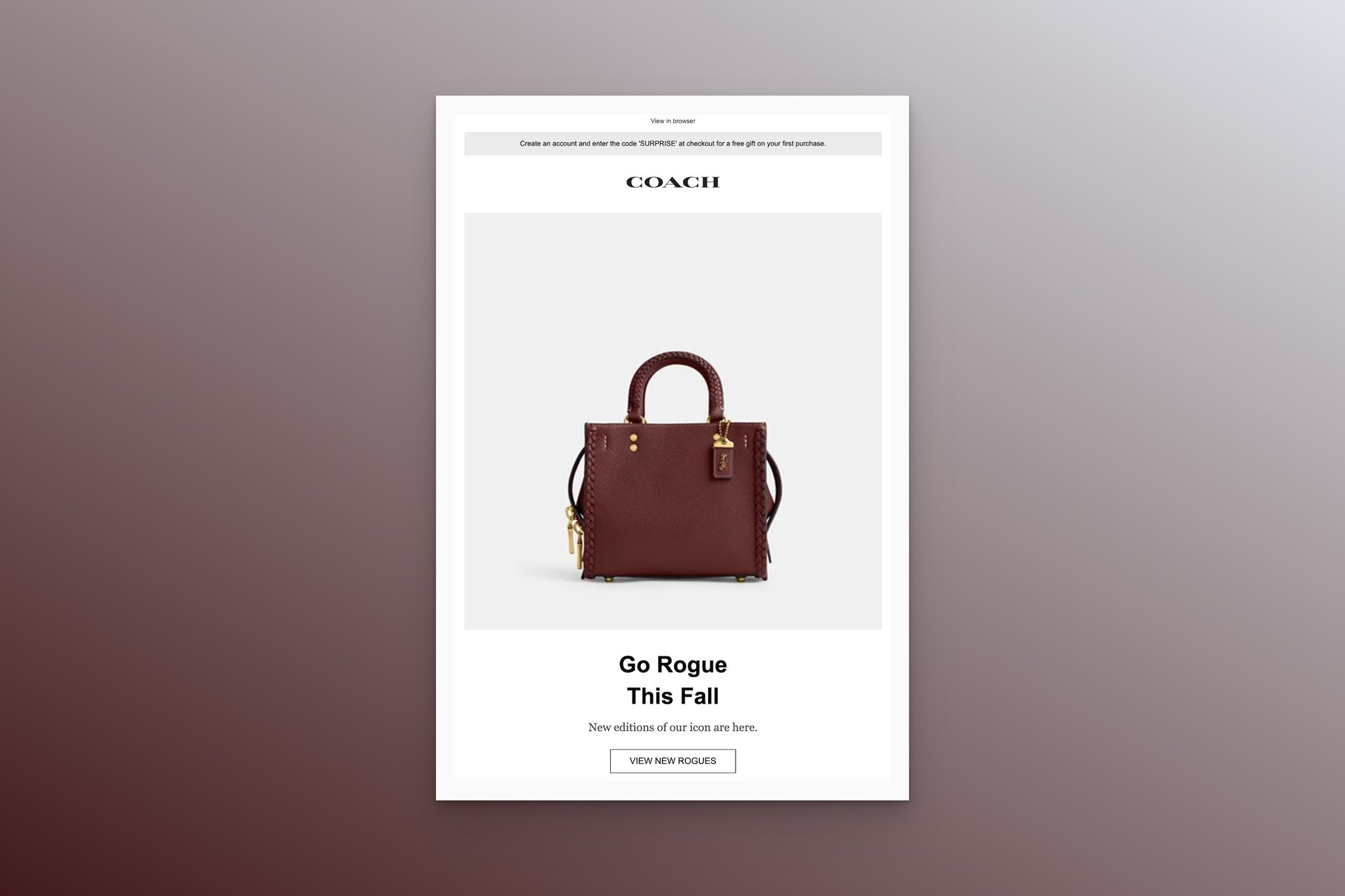 121 Best Fall Email Subject Lines That Capture Fall's Spirit