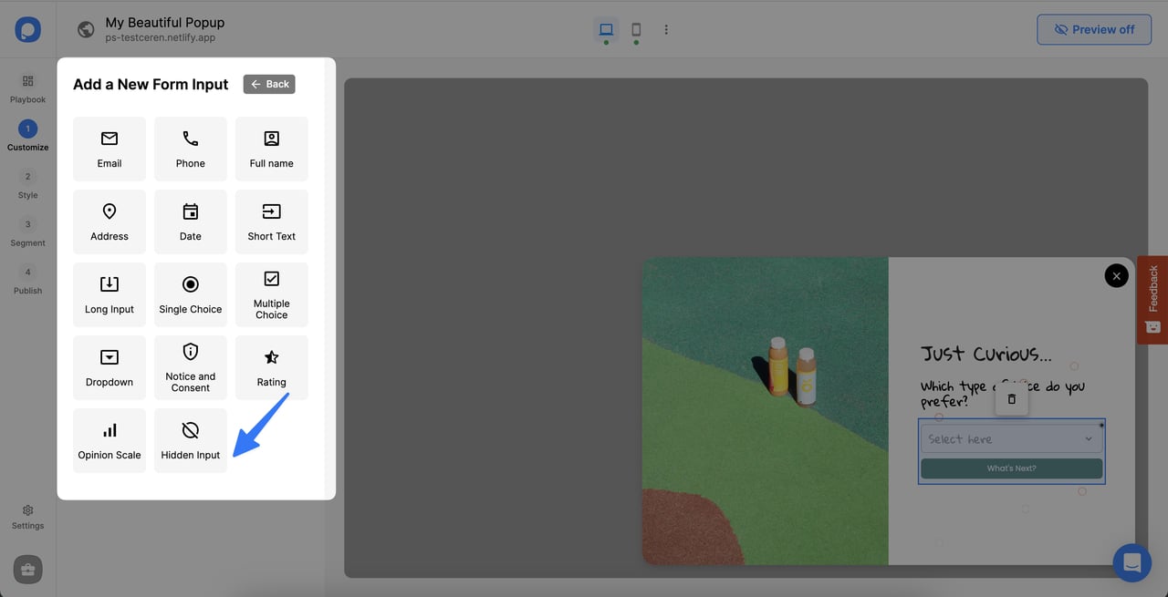 How to Add Hidden Inputs to Your Popup Campaigns?