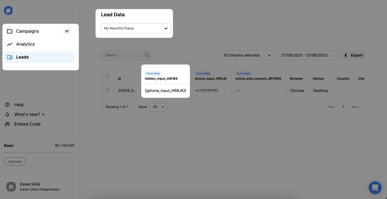 How to Add Hidden Inputs to Your Popup Campaigns?