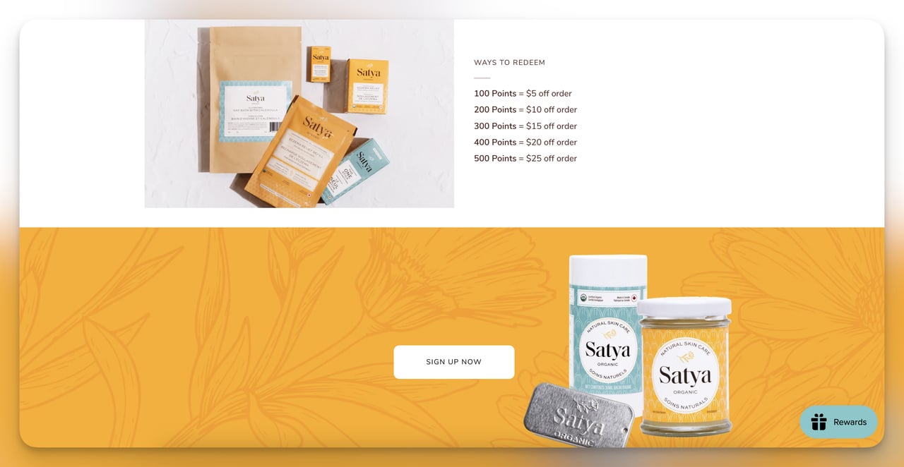 14+ Best Shopify Landing Page Examples