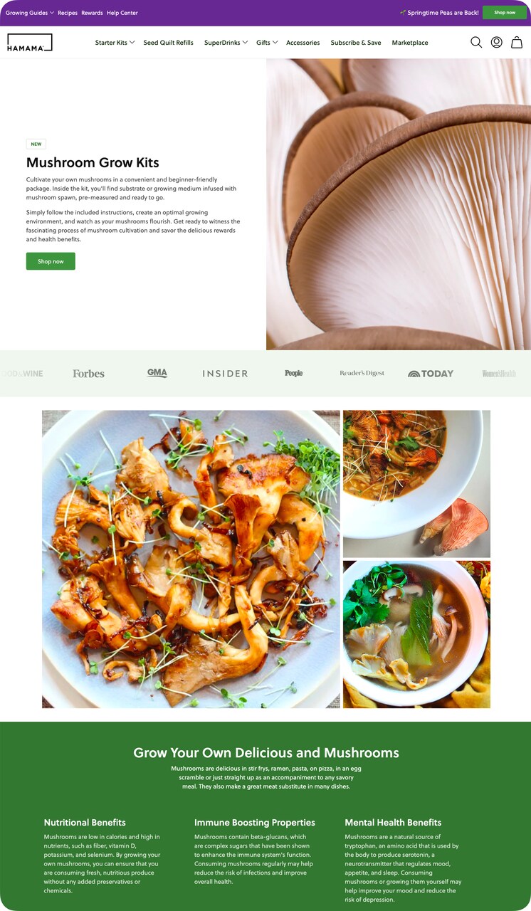 24 Best Ecommerce Landing Page Examples of 2024