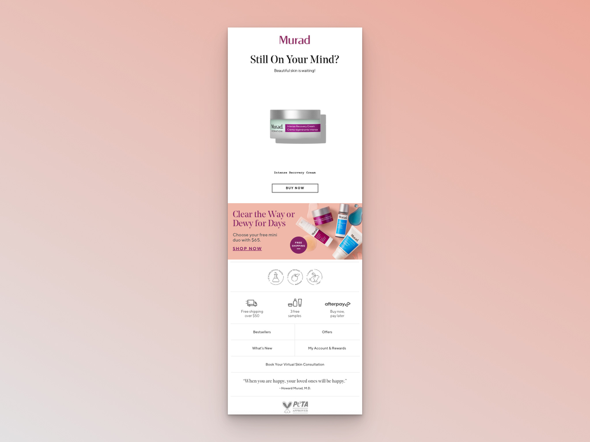 15 Best Browse Abandonment Email Examples to Boost Sales