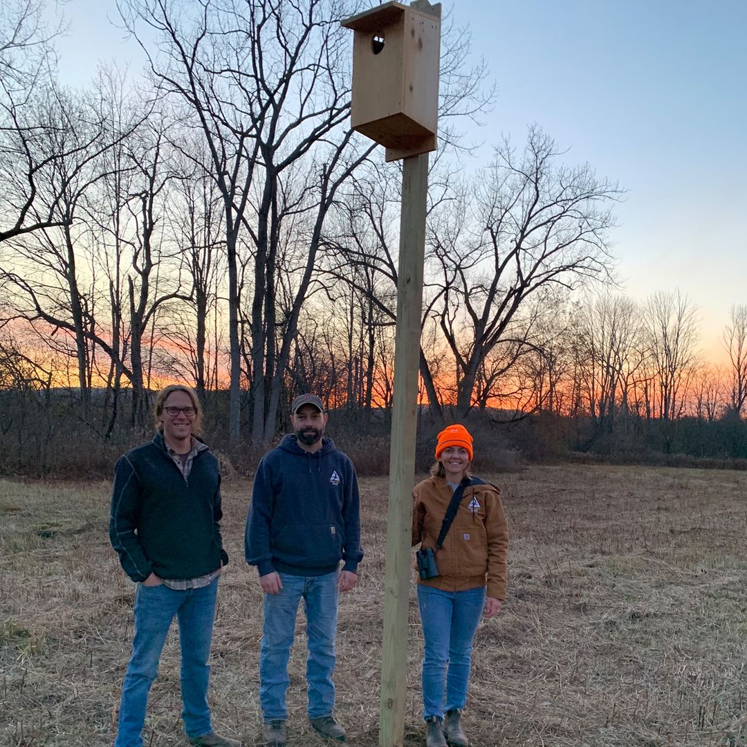 Kestrel Nest Box Project