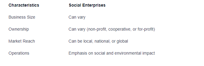 Business Venture | Definition