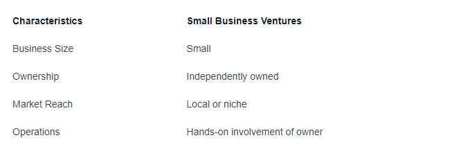 Business Venture | Definition