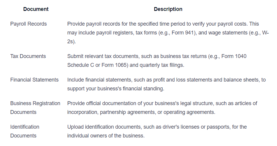 SBA PPP Application Process