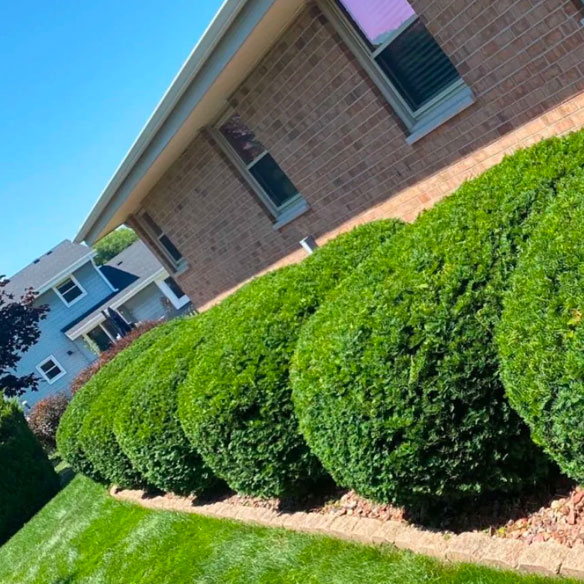 Business - Webflow HTML website template