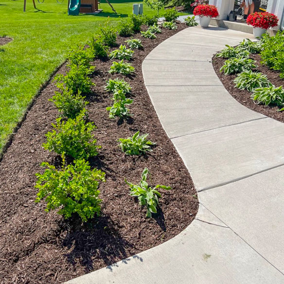 Business - Webflow HTML website template