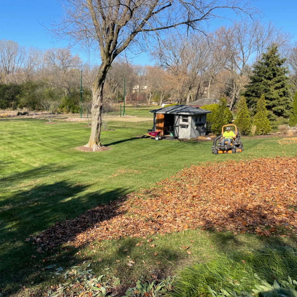 Business - Webflow HTML website template