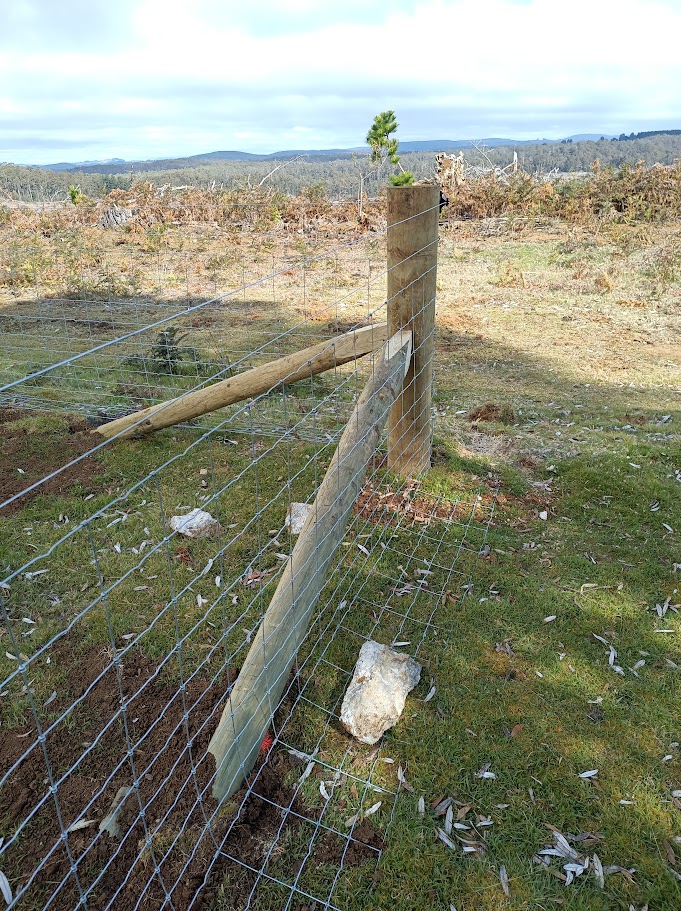 Everything about End Assemblies