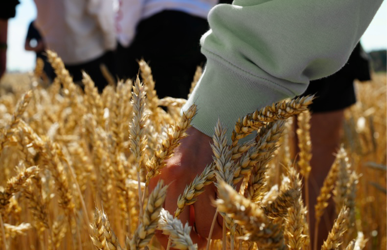 3 sustainability questions to Robert Gerlach, CEO and Co-founder of ...