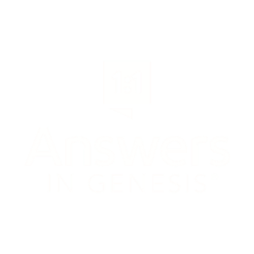 Divine Digital Design | Professional Church Graphic Design Services