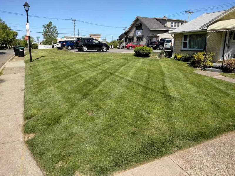 WNY Grass Cutting Services - Fresh Cut Lawn & Landscape