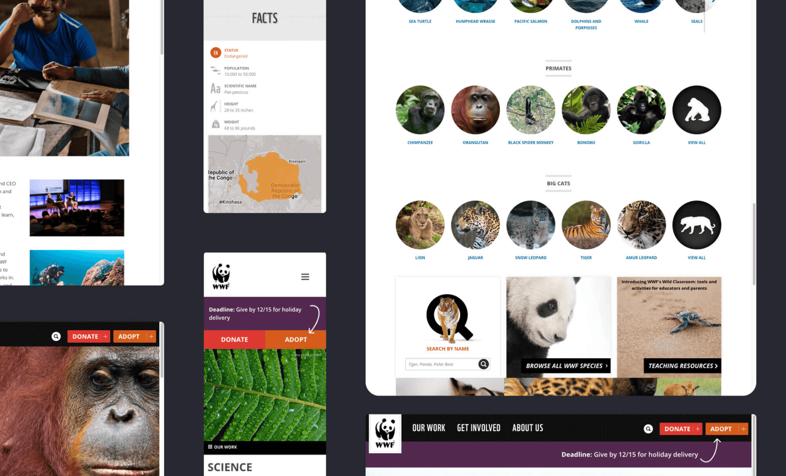 Top UX Websites: Best Practices Unveiled