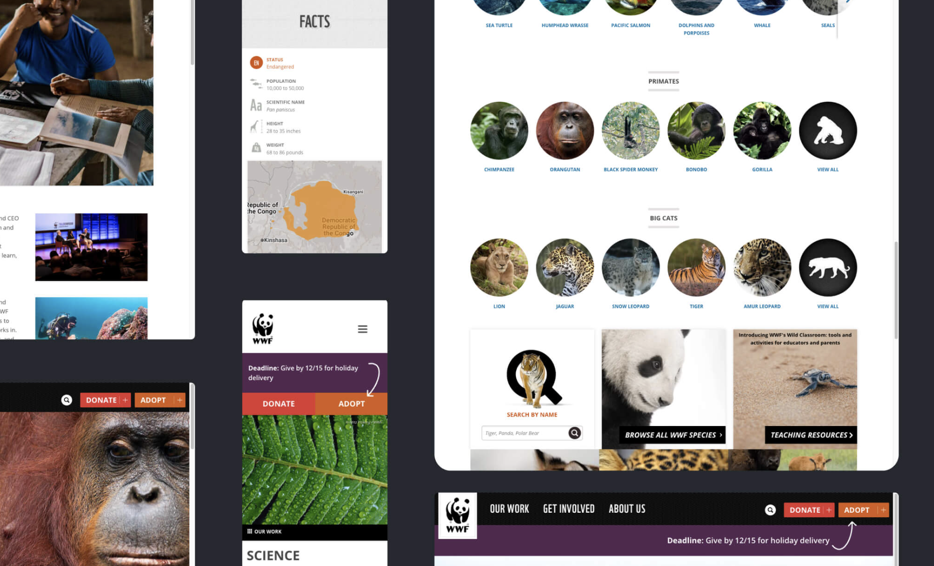 UI/UX Design Services Firm - UX Specialist in WANDR