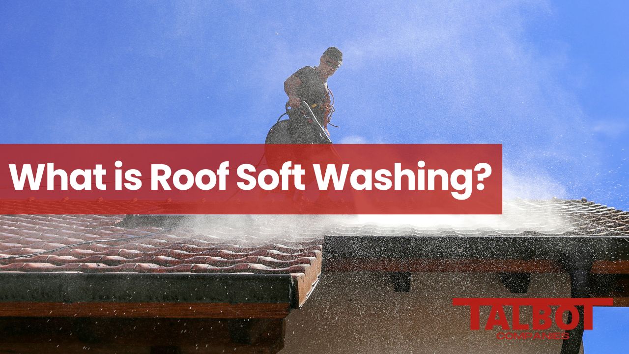 Talbot Insights: What is Roof Soft Washing? (2024)
