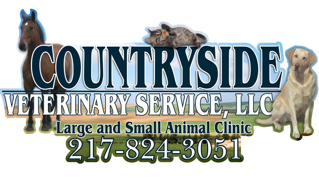 High-Quality Vet Hospital in Taylorville, IL | Countryside Veterinary ...