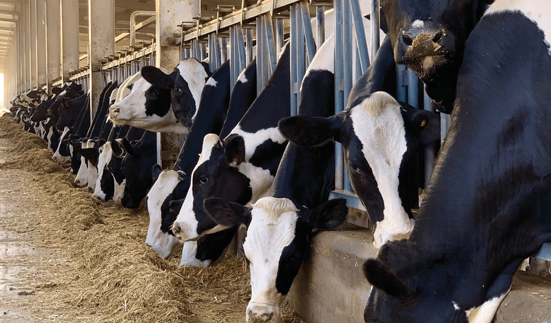 Western Milling | Home