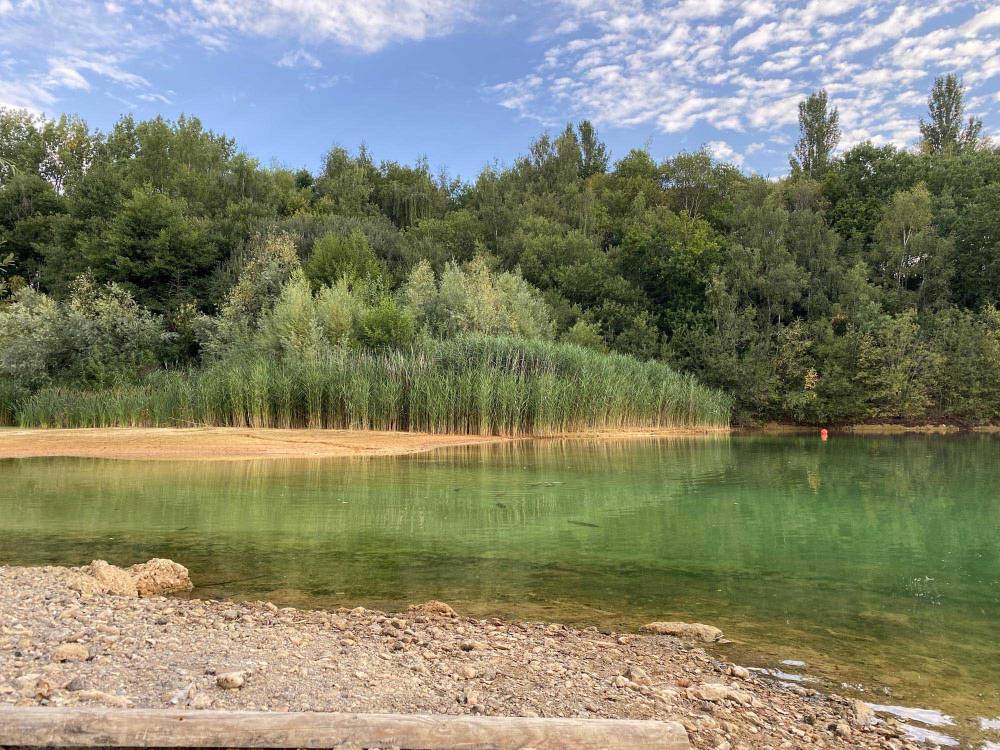 About Us | Open Water Wild Swimming in Surrey | Divers Cove