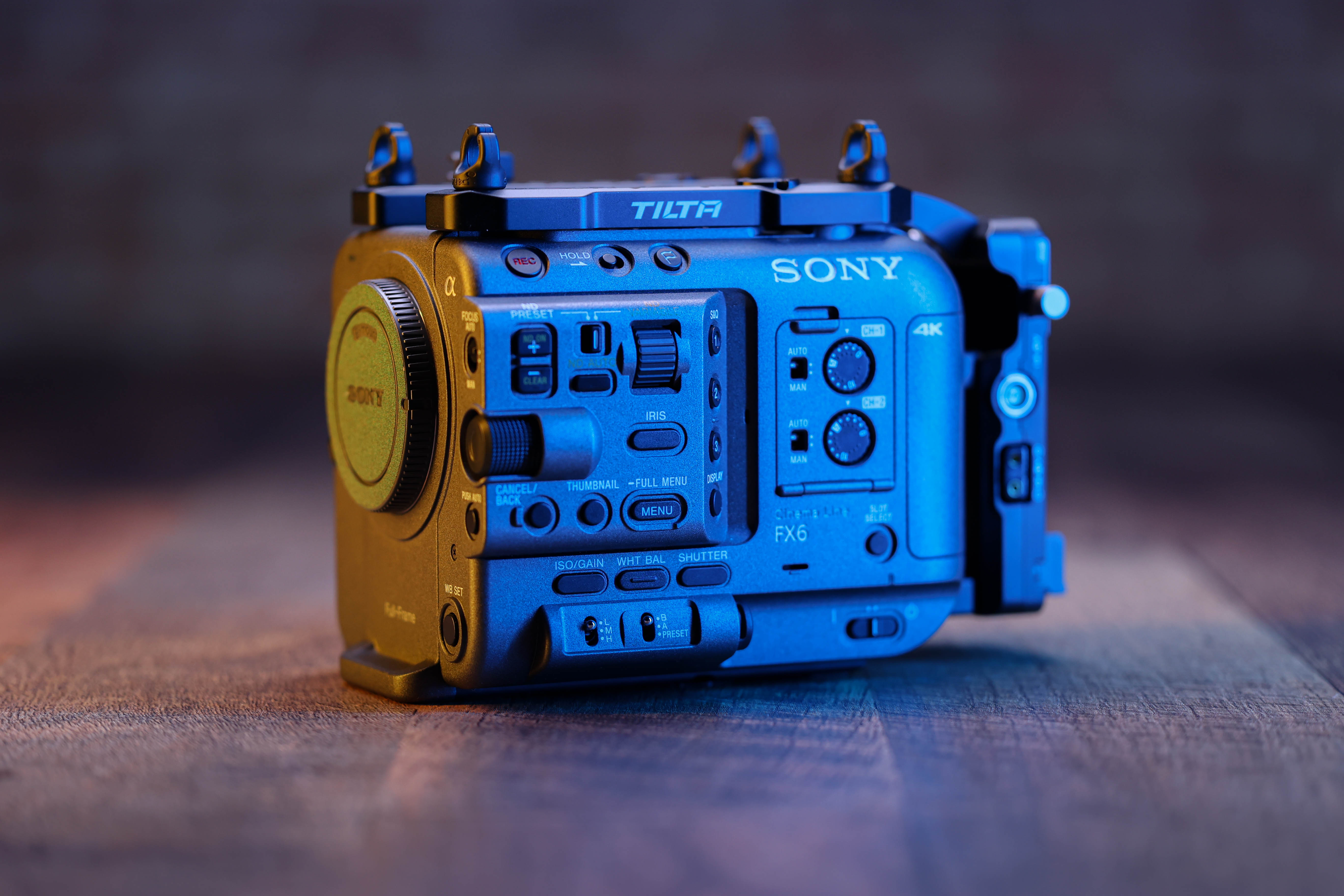 Free Digital Assets and Images: Explore and Download