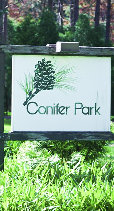 About Conifer Park - Leading Addiction Treatment Provider