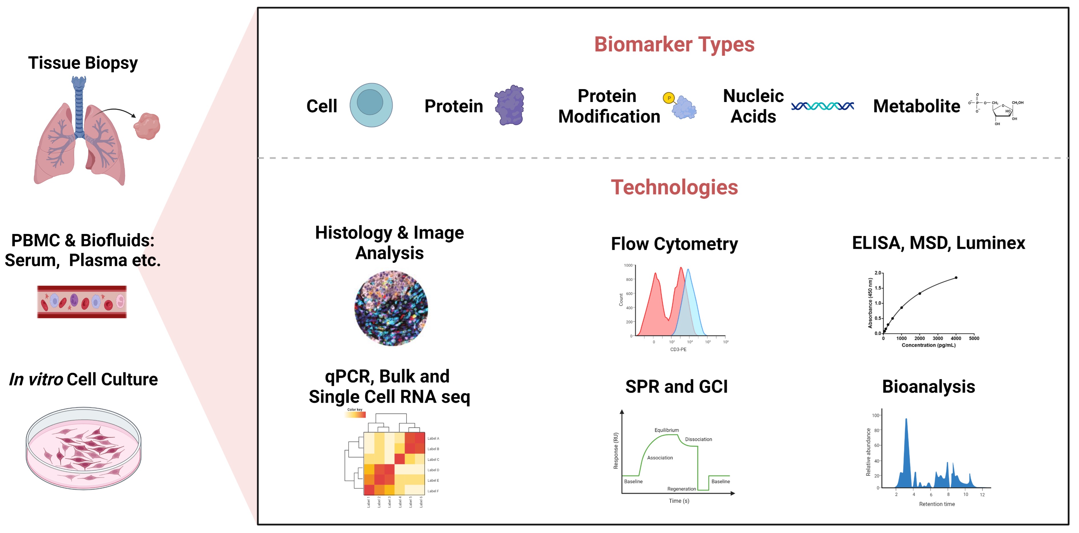 Concept Life Sciences | Biomarker Analysis