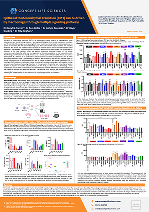 Concept Life Sciences | Poster | Epithelial to Mesenchymal Transition ...