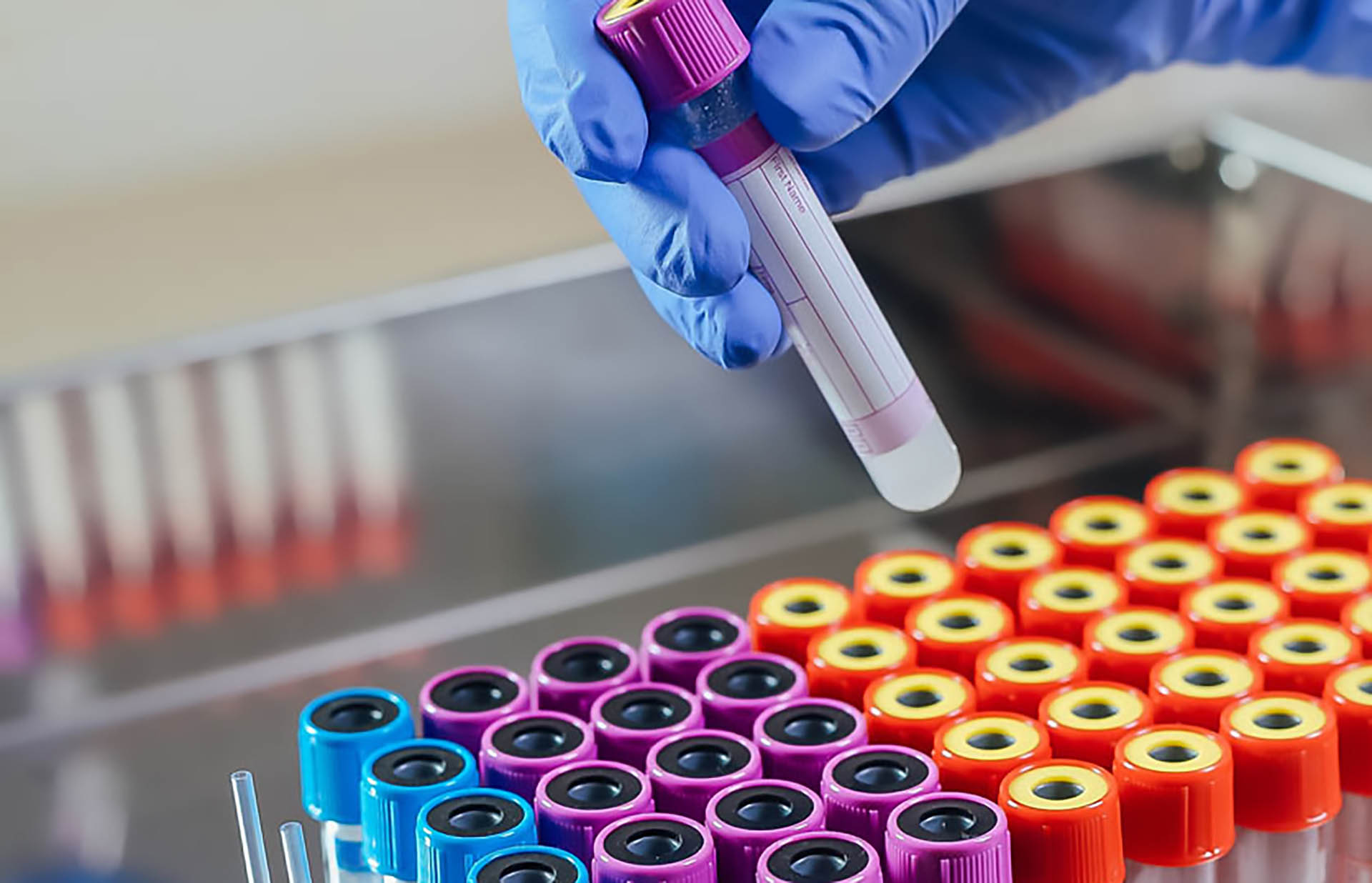 Concept Life Sciences | Toxicology