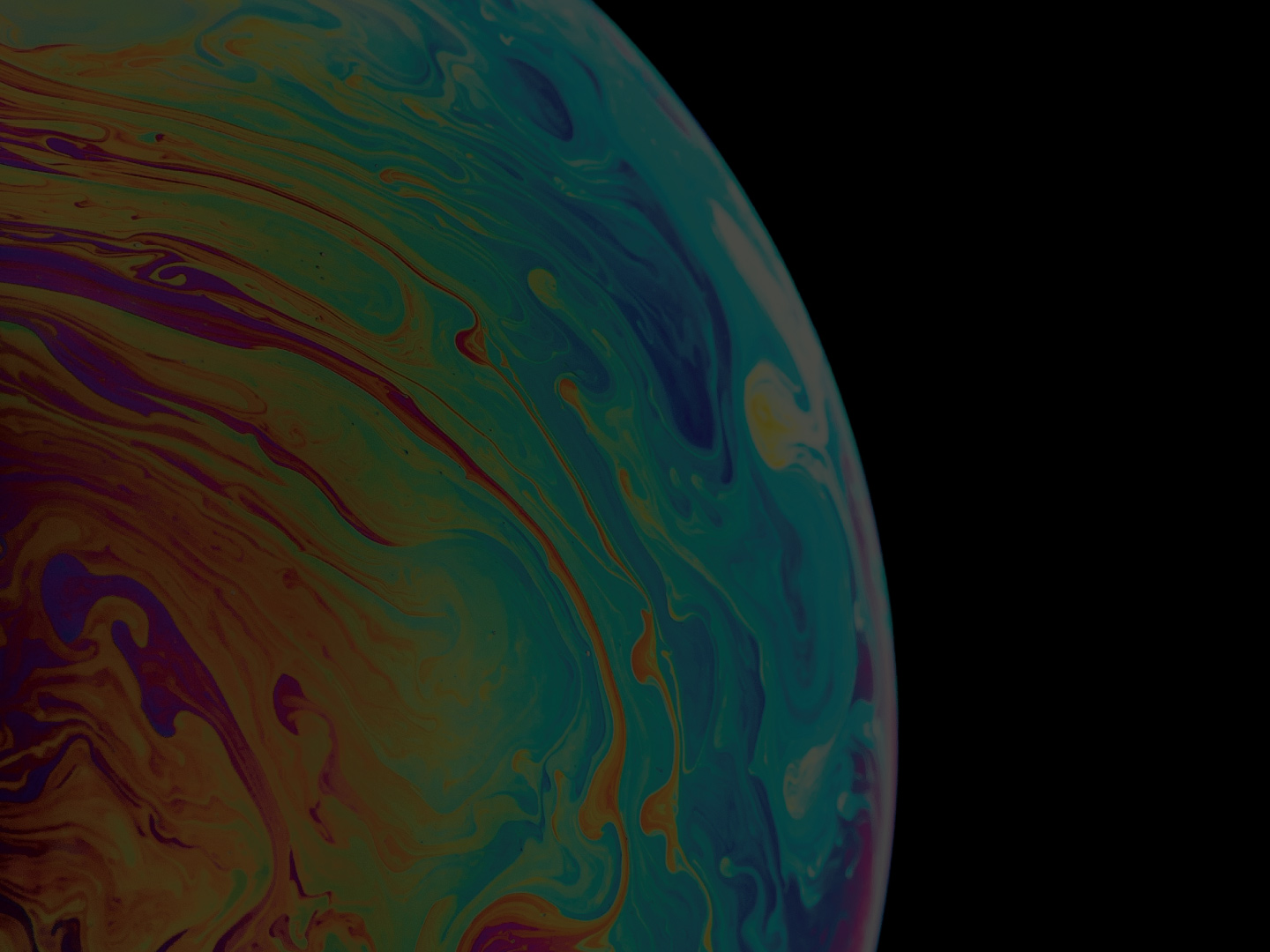 Protagonist Digital Lifecycle Marketing Agency